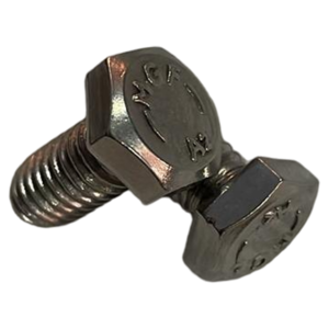 Stainless Steel Bolt - Mansi Ganga Fastners